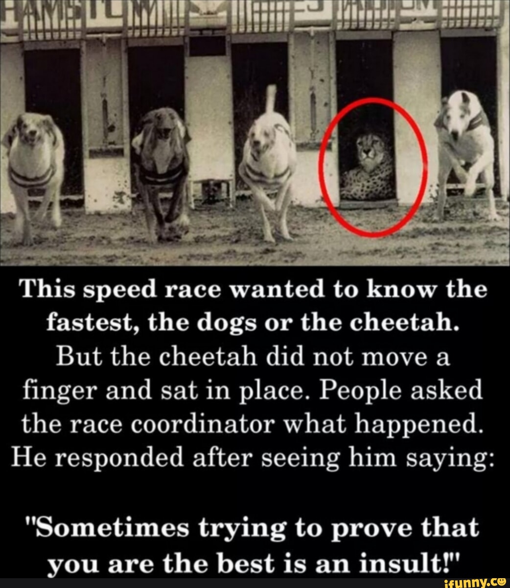 Coordinator memes. Best Collection of funny Coordinator pictures on iFunny