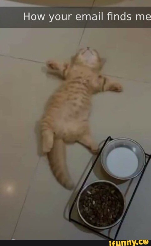 How your email finds me - iFunny