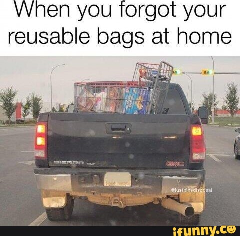 VVnen you forgot your reusable bags at home - iFunny