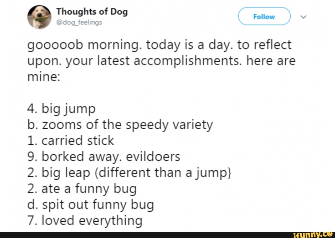 Borked memes. Best Collection of funny Borked pictures on iFunny