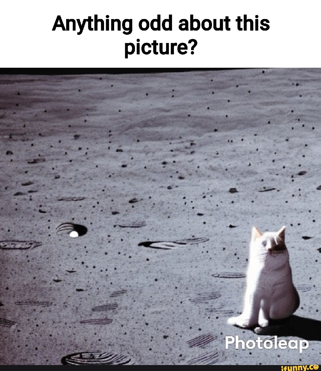 Achiever memes. Best Collection of funny Achiever pictures on iFunny