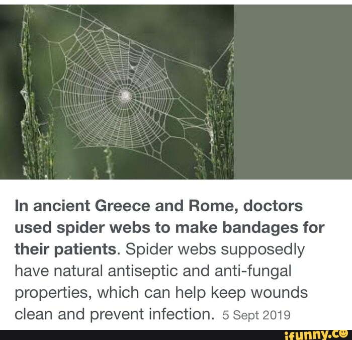 In ancient Greece and Rome, doctors used spider webs to make bandages ...
