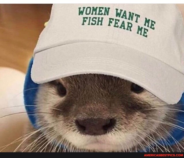 MEN Wany 'FisH FEAy - America’s best pics and videos