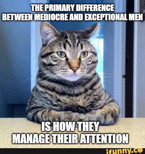 THE PRIMARY DIFFERENCE BETWEEN MEDIOCRE AND EXCEPTIONAL MEN IS HOW THEY ...