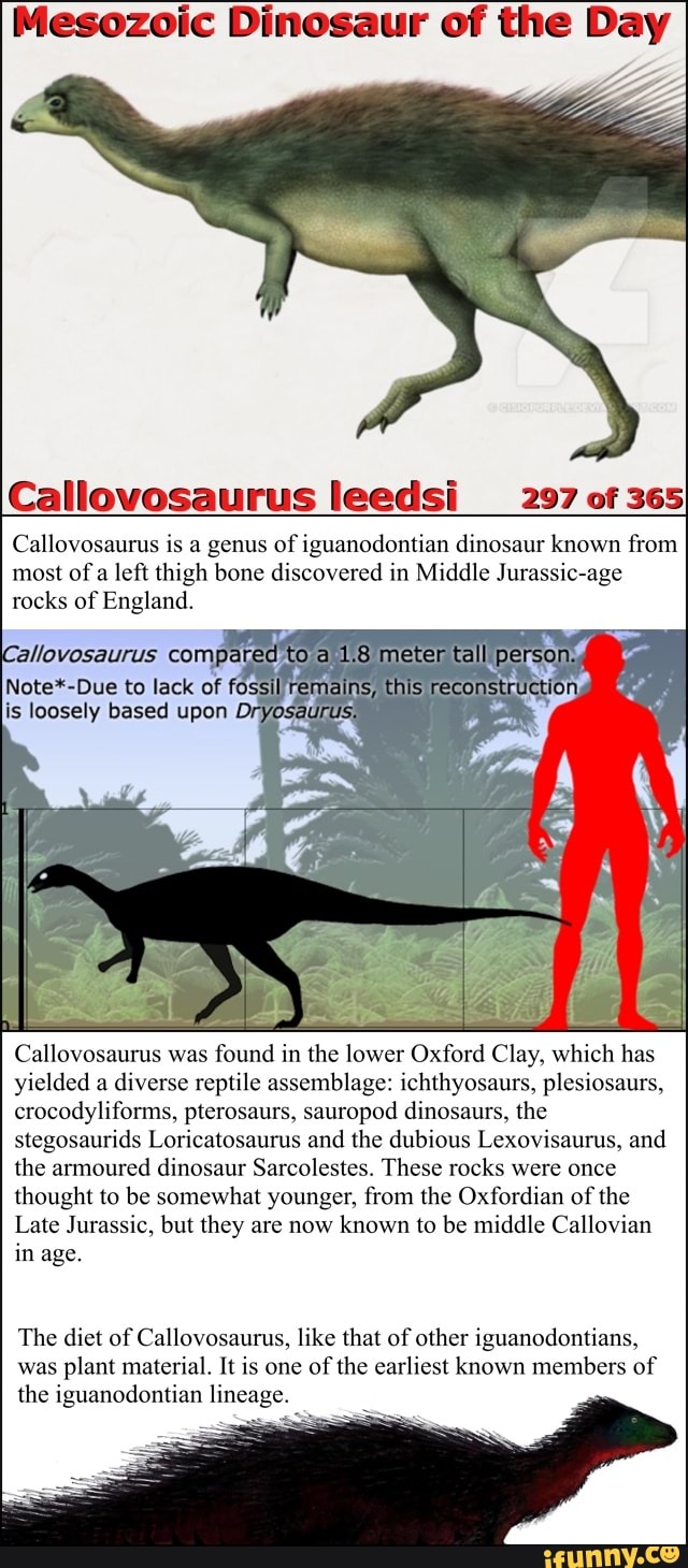Mesozoicwarpath memes. Best Collection of funny Mesozoicwarpath ...