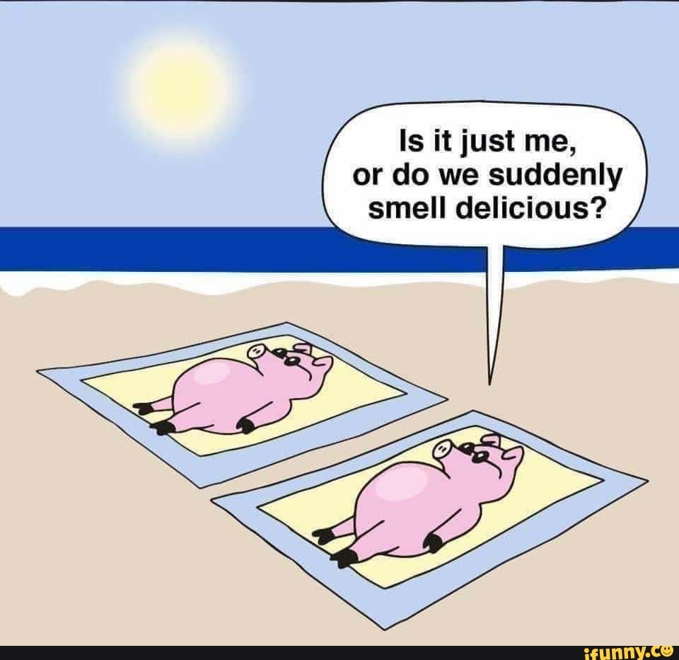 Is it just me, or do we suddenly smell delicious? - iFunny