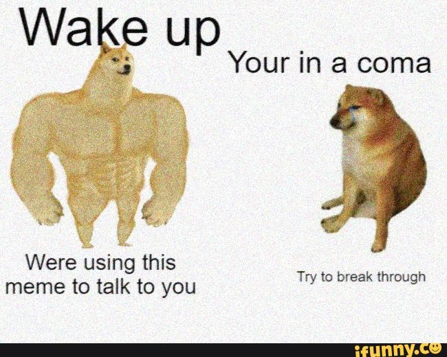 Wake up Were using this meme to talk to you Your in coma 'Try to break ...