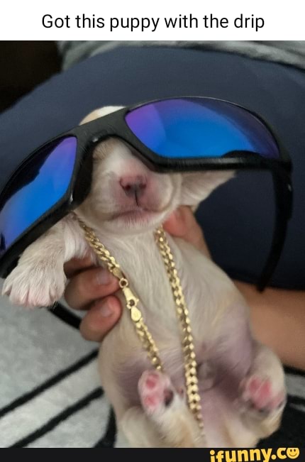 Got this puppy with the drip - iFunny