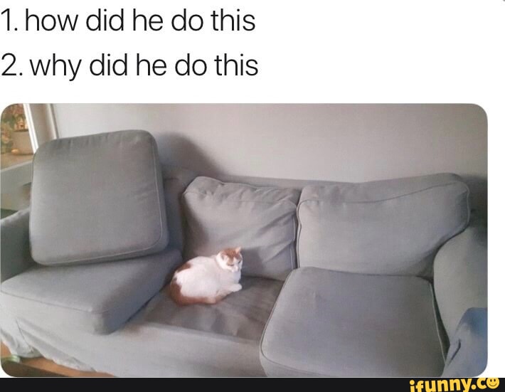 1 How Did He Do This 2 Why Did He Do This Ifunny