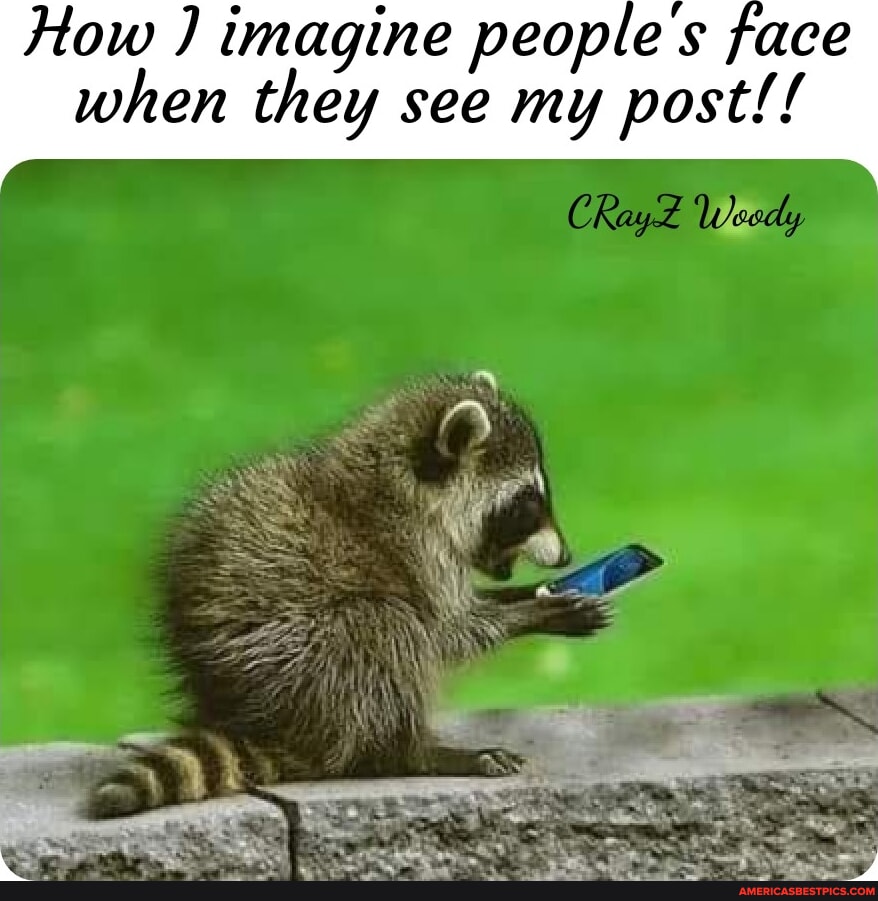 How imagine peoples face when they see my post!! - America’s best pics ...