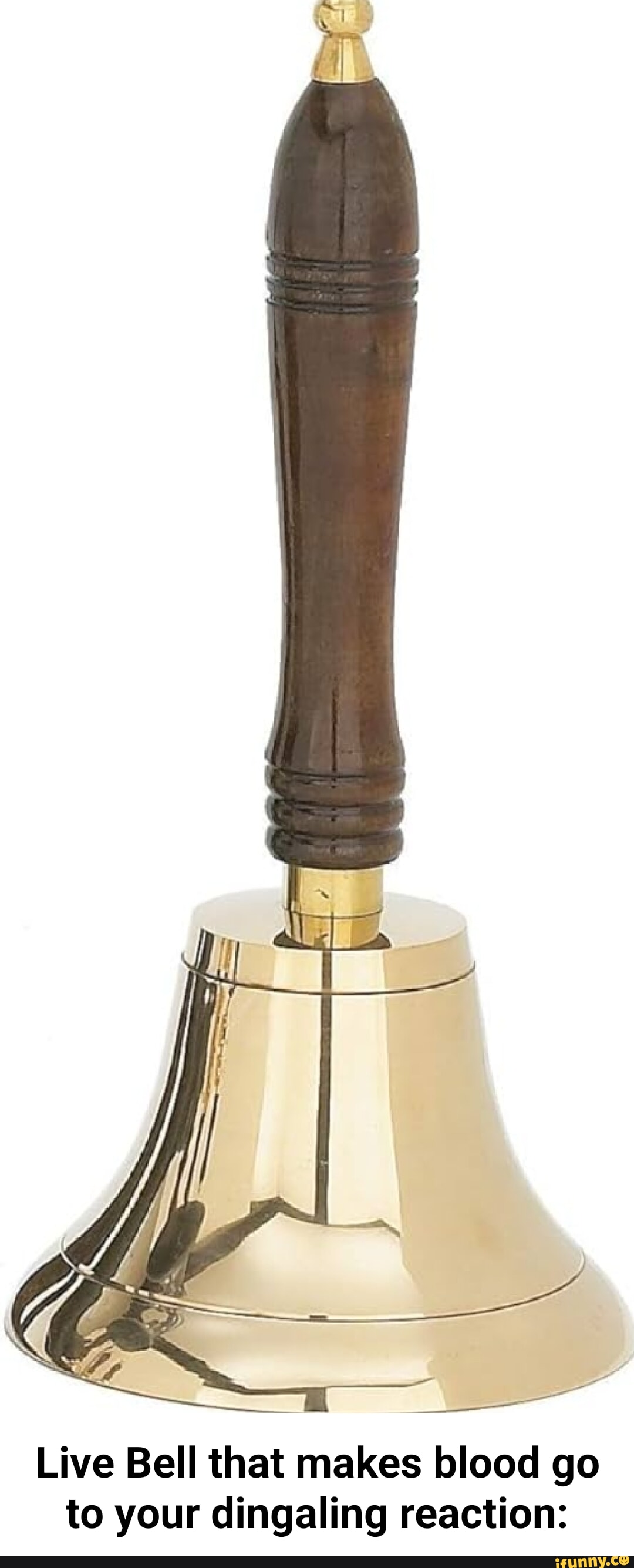 Dingaling memes. Best Collection of funny Dingaling pictures on iFunny