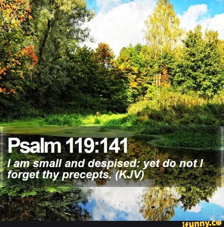 Psalm !am small and despised: yet do not! forget thy precepts. (KJV ...
