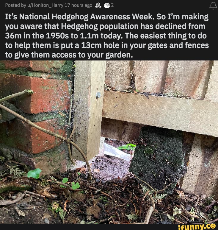 British_isles memes. Best Collection of funny British_isles pictures on ...