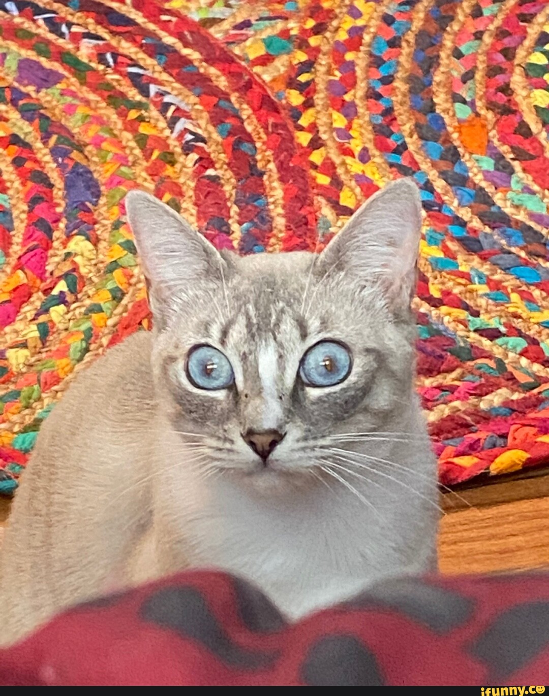 Omnipotent memes. Best Collection of funny Omnipotent pictures on iFunny