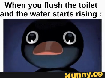 Hate Moment - When you flush the toilet and the water starts rising ...