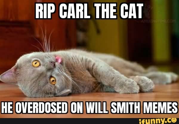 Kids Story book about a Beaver. A must listen. Tissues ready not to cry ...