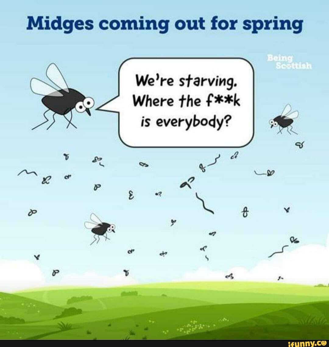 Midges memes. Best Collection of funny Midges pictures on iFunny