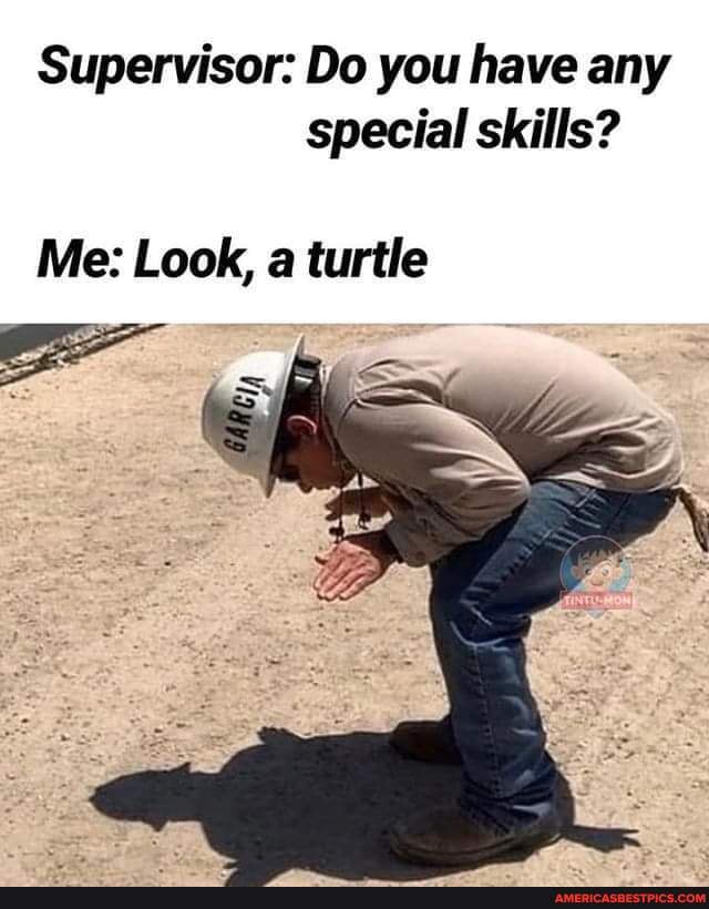 Supervisor: Do you have any special skills? Me: Look, a turtle ...