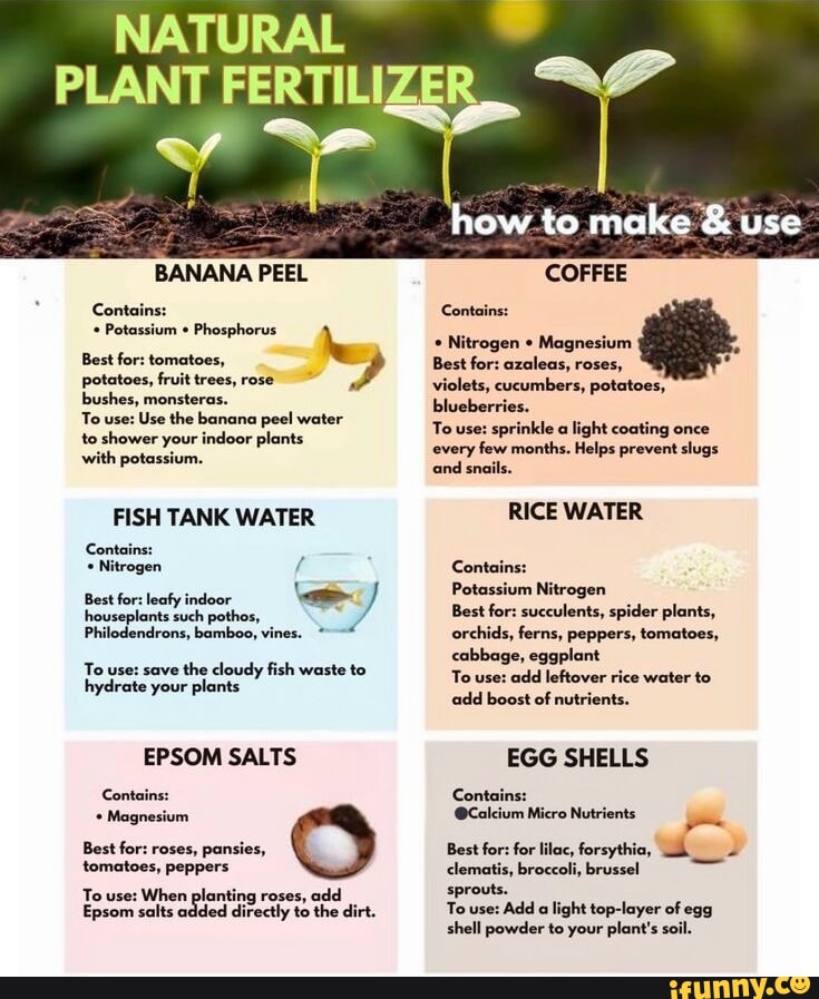 Fertilizer memes. Best Collection of funny Fertilizer pictures on iFunny