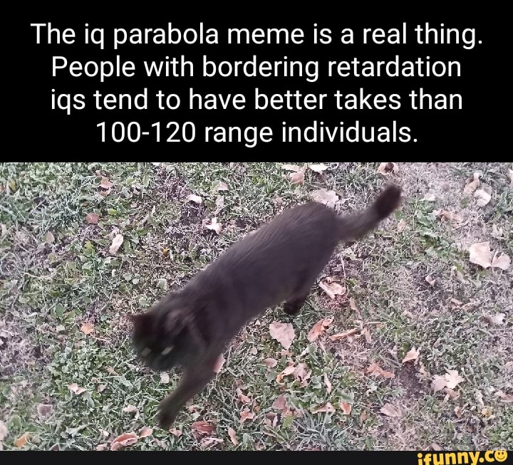The iq parabola meme is a real thing. People with bordering retardation ...