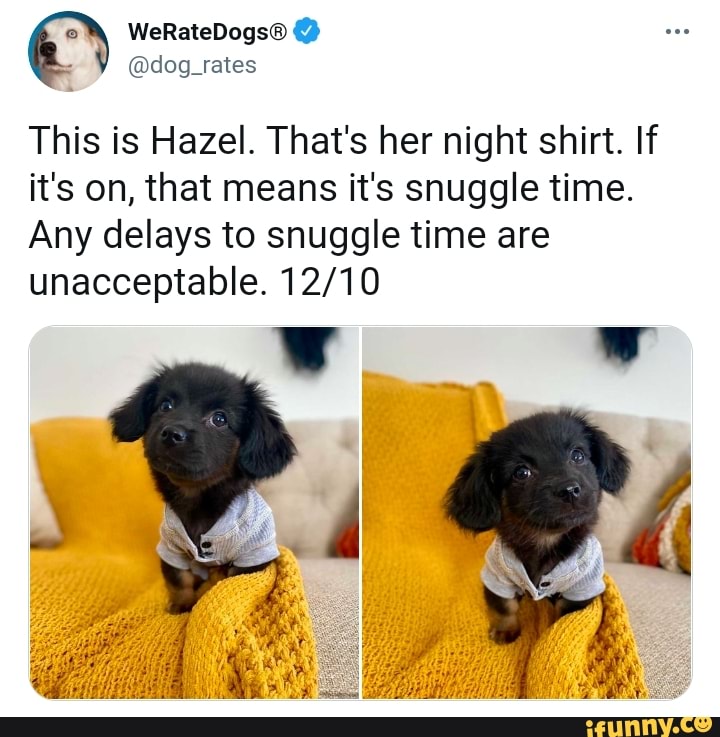 @dog_rates This is Hazel. That's her night shirt. If it's on, that ...
