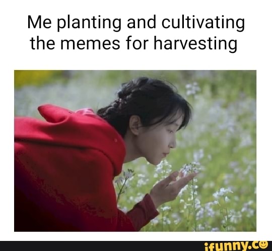 Me planting and cultivating the memes for harvesting - iFunny