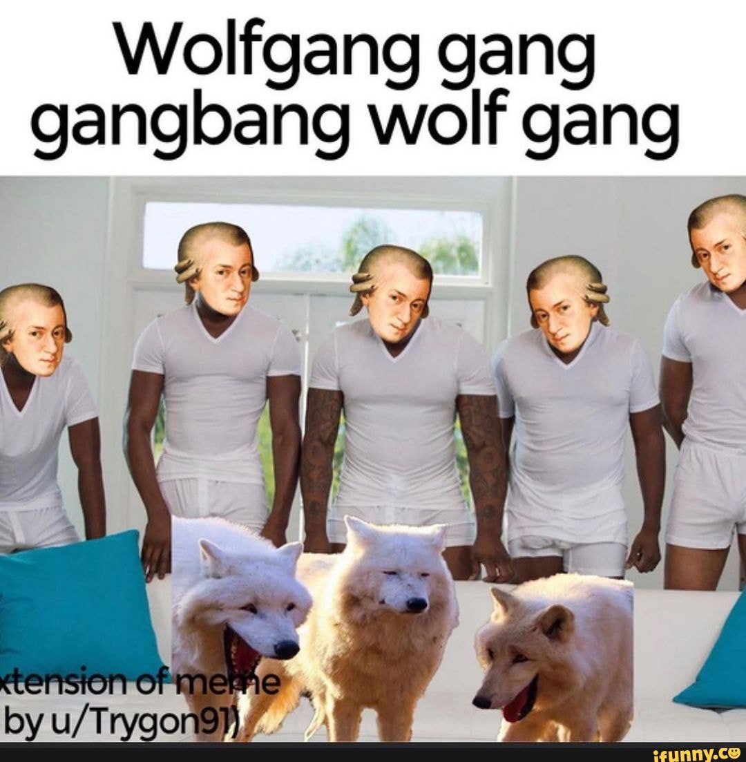 Wolfgang gang gangbang wolf gang - iFunny