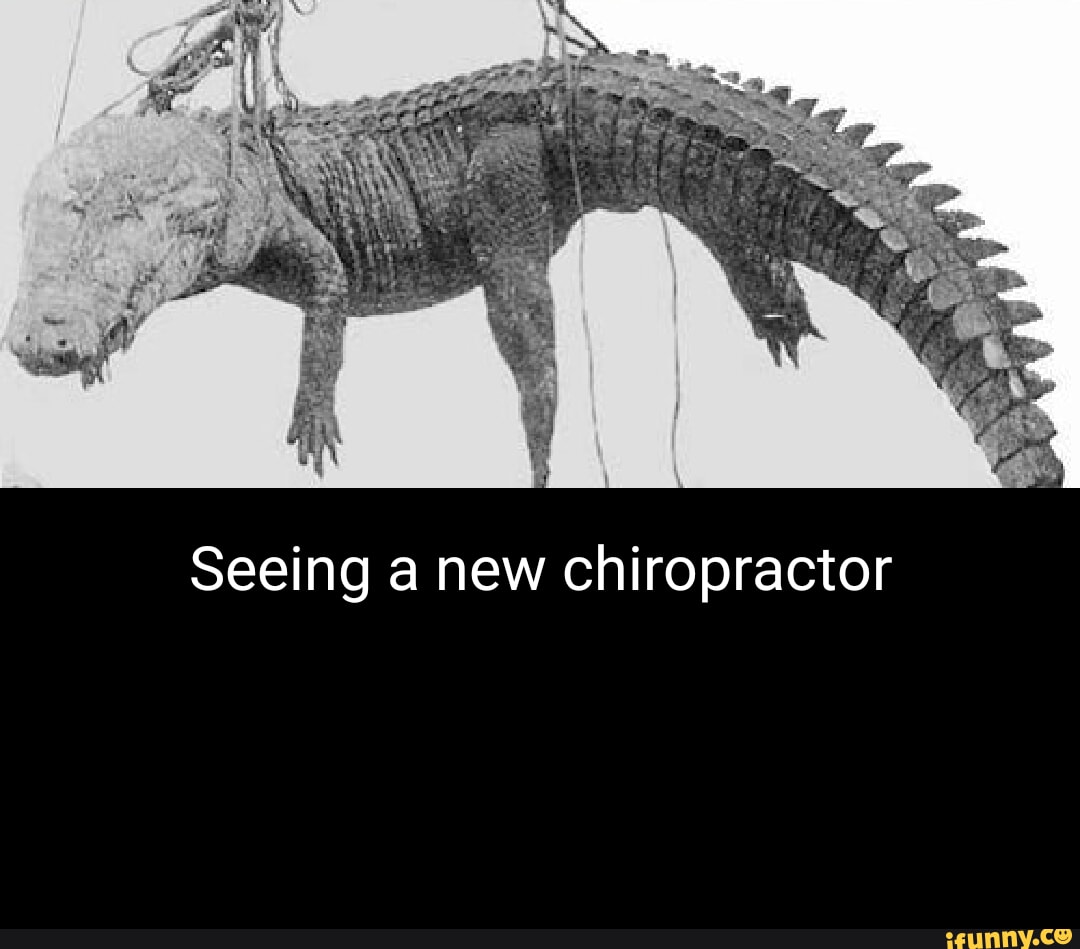 Chiropractor memes. Best Collection of funny Chiropractor pictures on ...