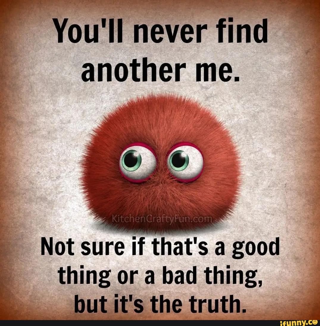 Memes, lots of memes - You'll You'll never find another me. Fe Not sure ...