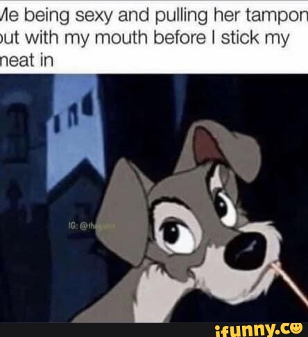 Tampo memes. Best Collection of funny Tampo pictures on iFunny