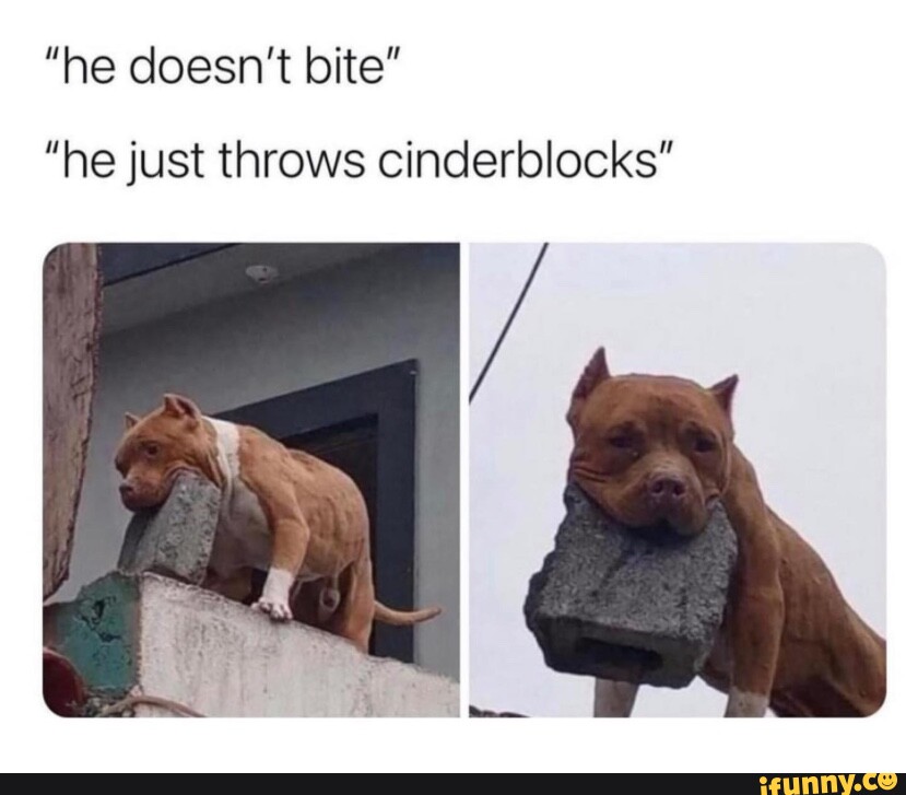 Cinderblocks memes. Best Collection of funny Cinderblocks pictures on ...