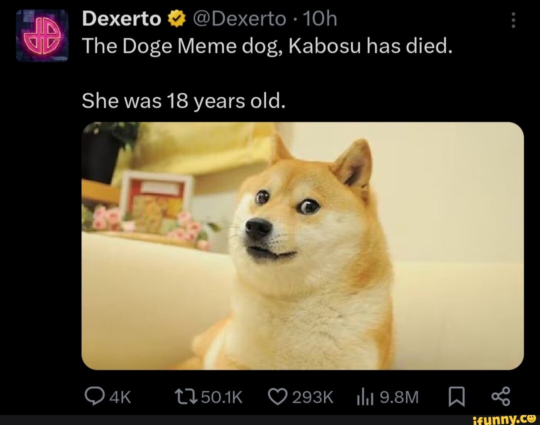 The Doge Meme dog, Kabosu has died. Dexerto @Dexerto She was 18 years ...