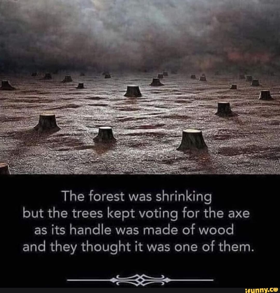 The forest was shrinking but the trees kept voting for the axe as its ...