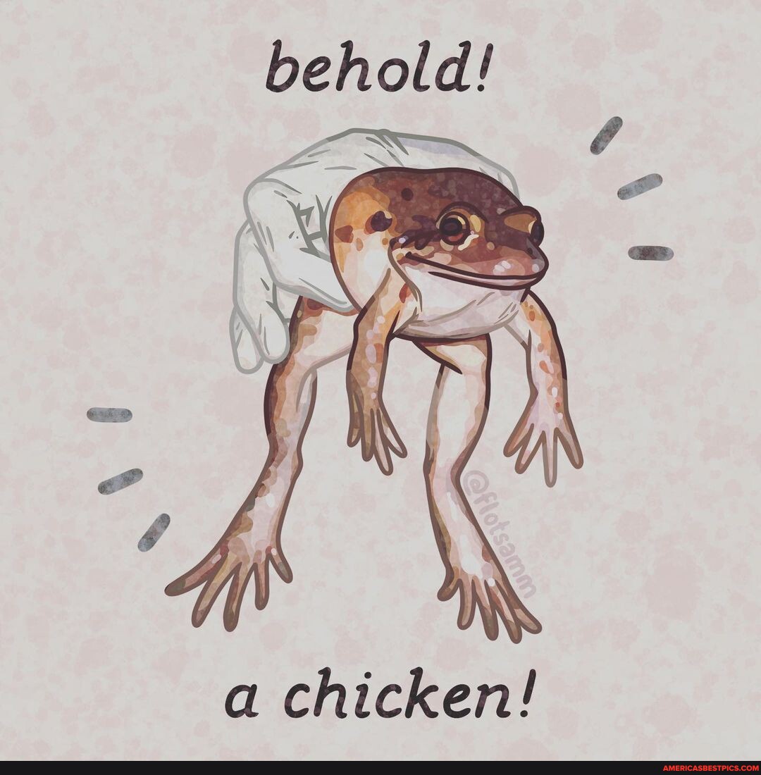 @flotsamm made some fantasticlly froggy memes and fan art to celebrate ...