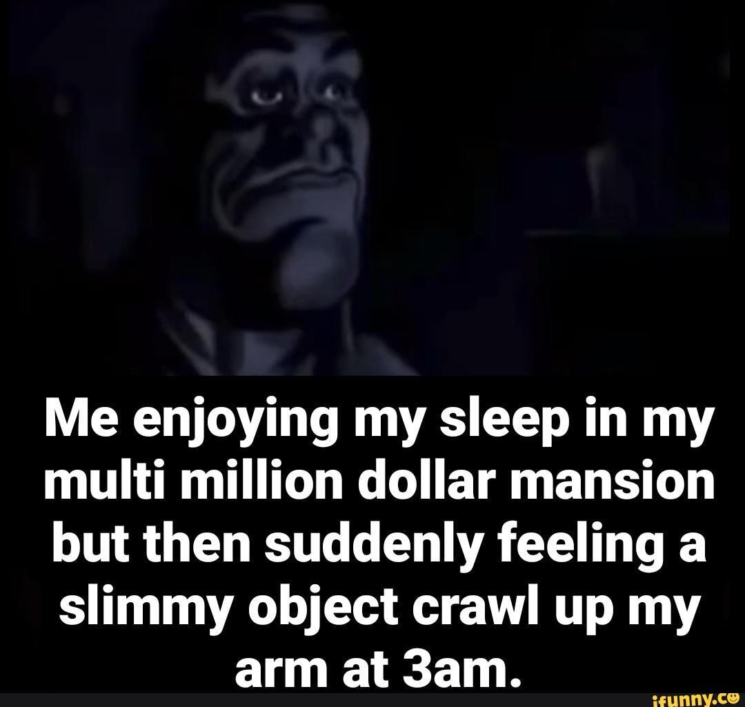 Me enjoying my sleep in my multi million dollar mansion but then ...