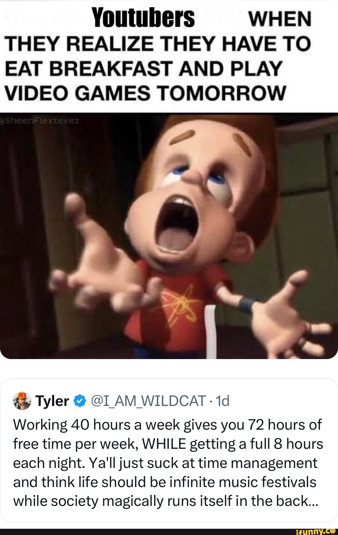 Wildcat memes. Best Collection of funny Wildcat pictures on iFunny