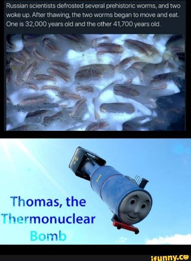 Russian scientists defrosted al prehistoric worms, and two woke up ...