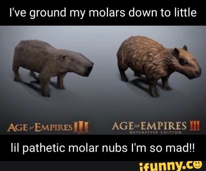 I've ground my molars down to little AGE Ewmres AGE EMPIRES lil ...