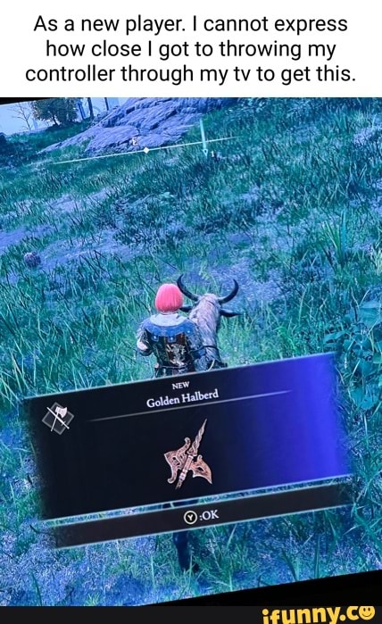 Express memes. Best Collection of funny Express pictures on iFunny