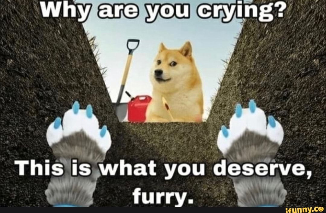 Why are you crying? This is what you deserve, furry. - iFunny