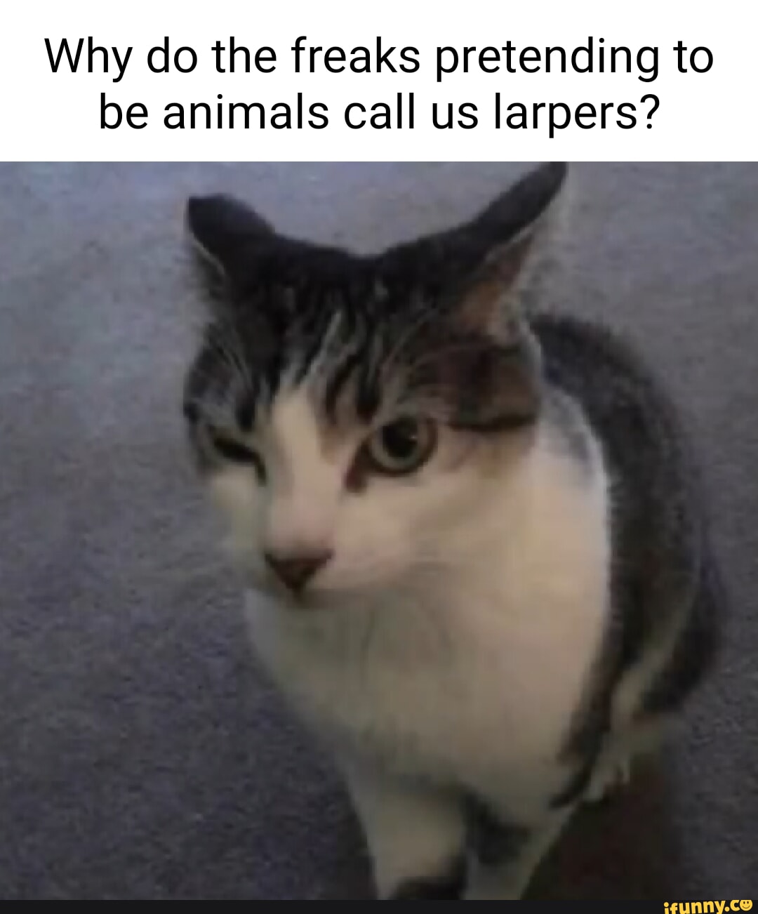 Why do the freaks pretending to be animals call us larpers? - iFunny