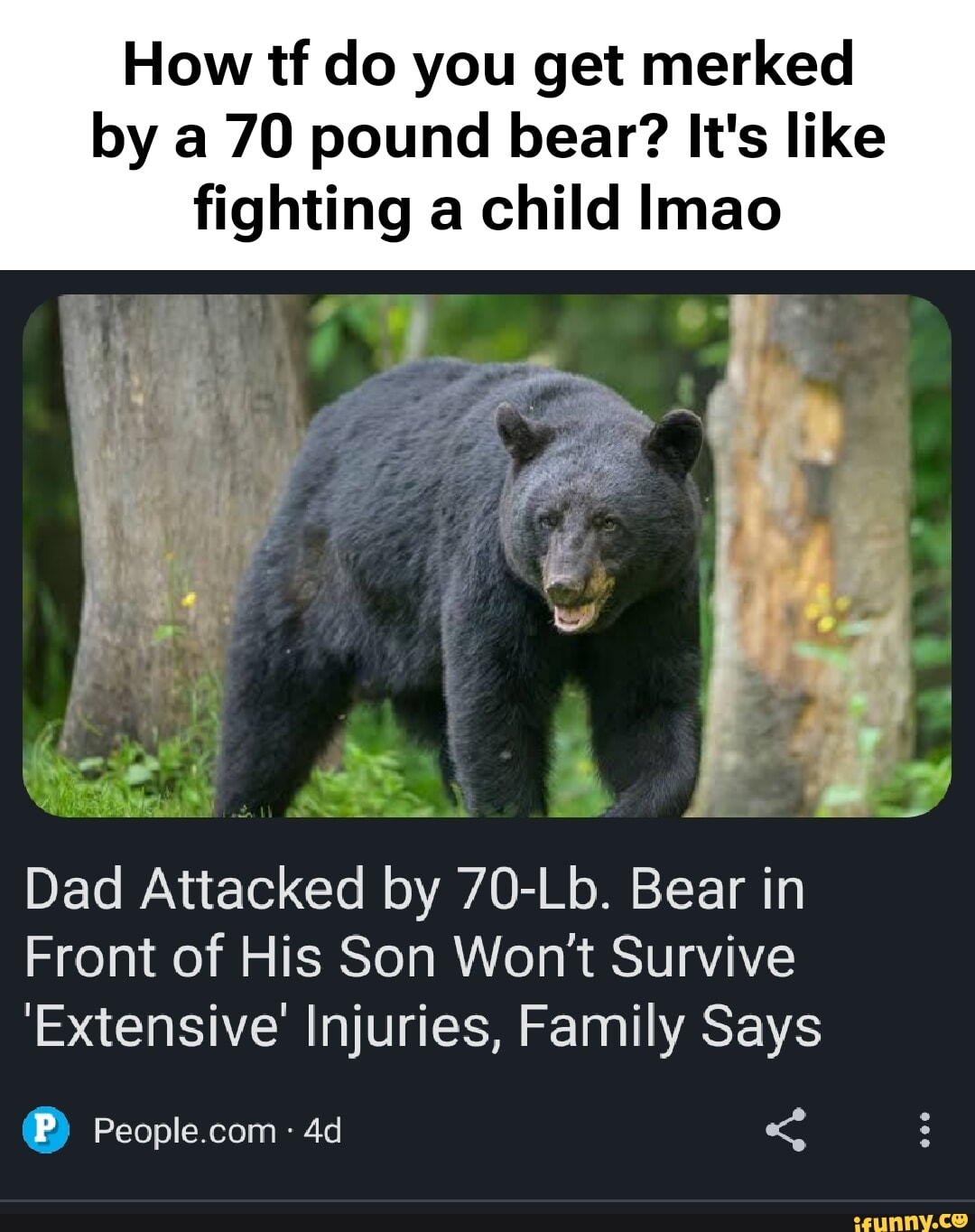 How tf do you get merked by a 70 pound bear? It's like fighting a child ...