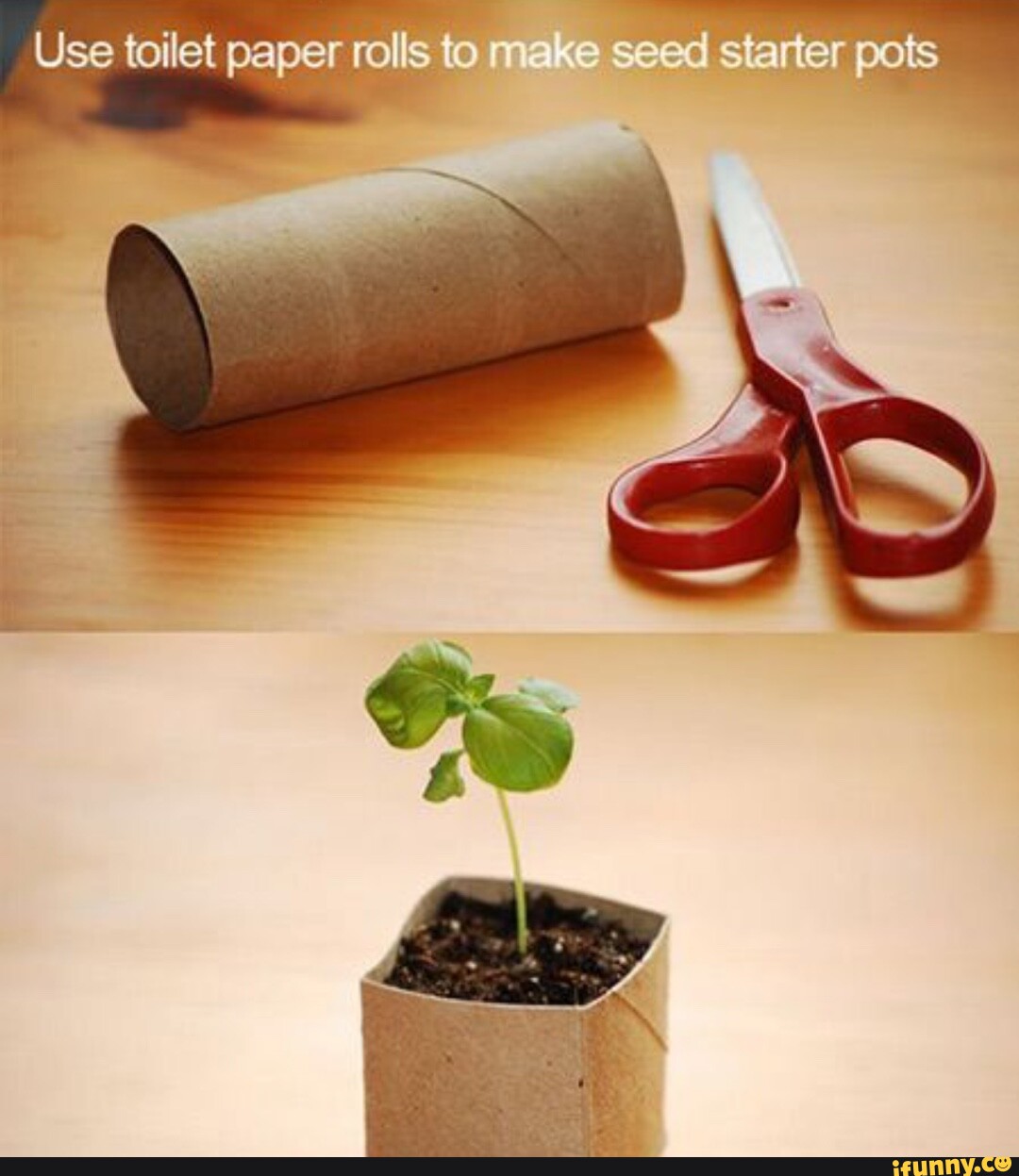 Seed memes. Best Collection of funny Seed pictures on iFunny