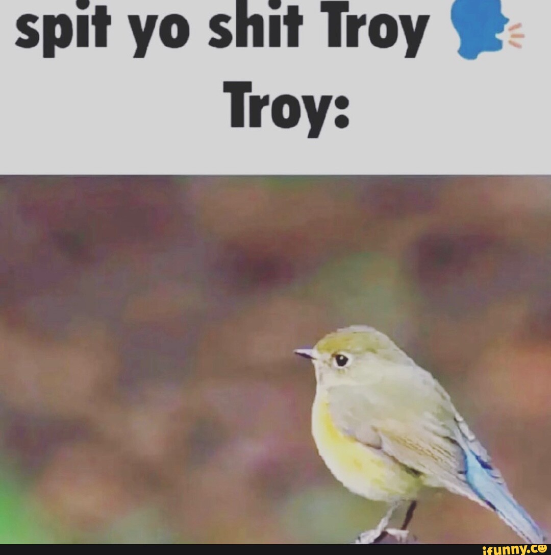 Spit yo shit Troy Troy: - iFunny
