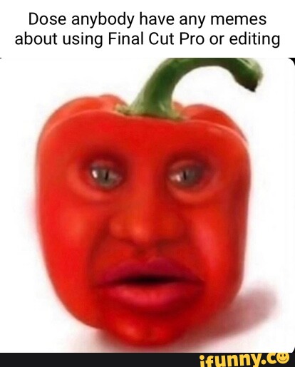 Dose anybody have any memes about using Final Cut Pro or editing - iFunny