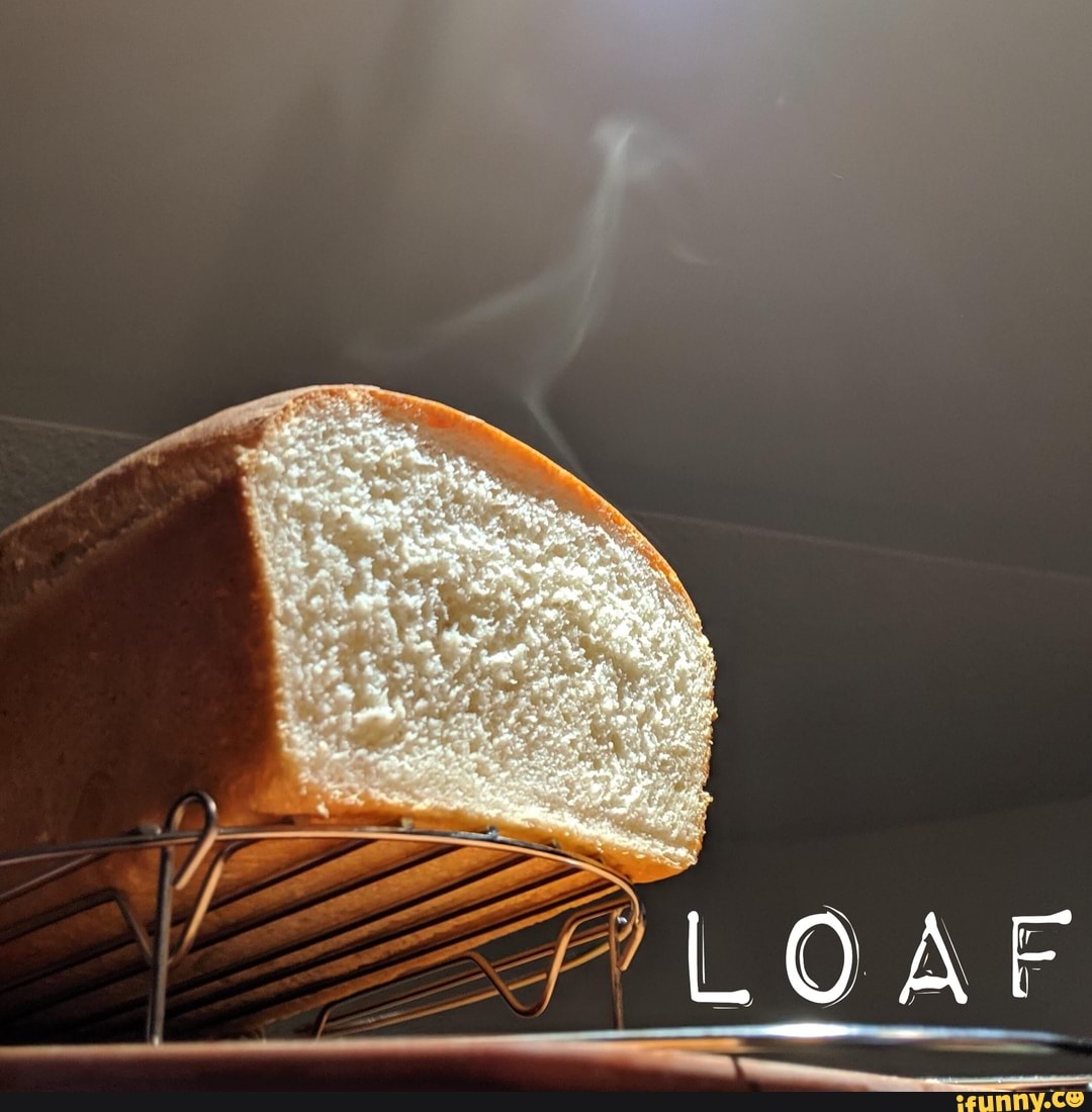 Meme dump 140: the bread girl - iFunny