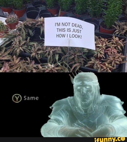 Bloodborne Caryll Runes HD - Bloodborne Caryll Runes Runter anti ...