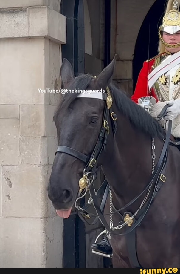 Equius memes. Best Collection of funny Equius pictures on iFunny