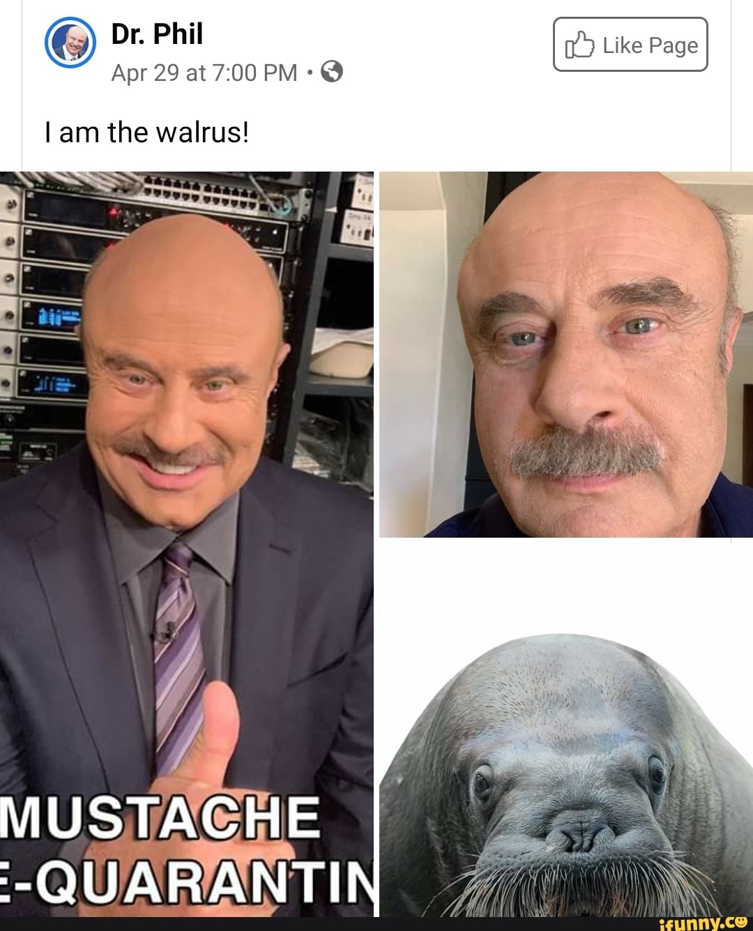 Dr. Phil I am the walrus! - iFunny