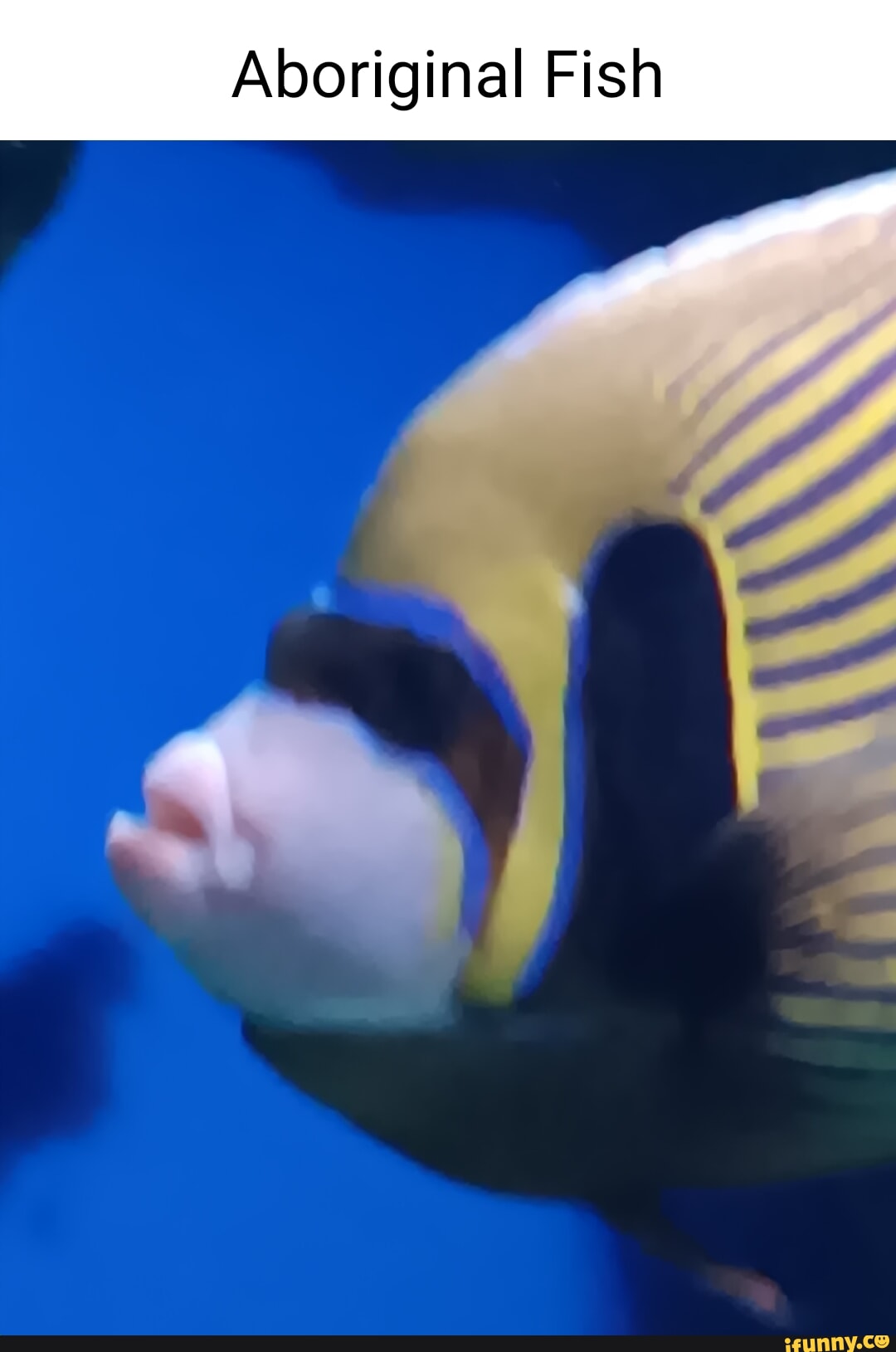 Aboriginal memes. Best Collection of funny Aboriginal pictures on iFunny